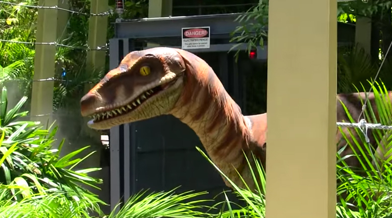 ‘Jurassic World’ Inspired Raptor Coming to the Raptor Encounter at ...