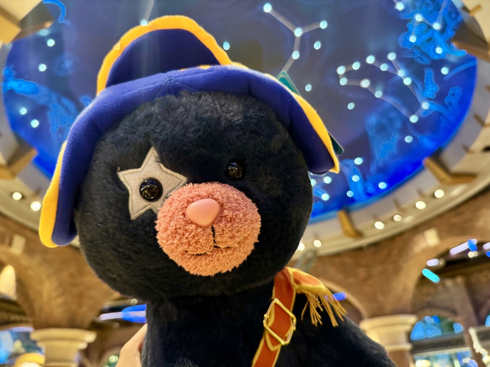 Meet Captain Cacao: The Adorable Icon of Universal Epic Universe