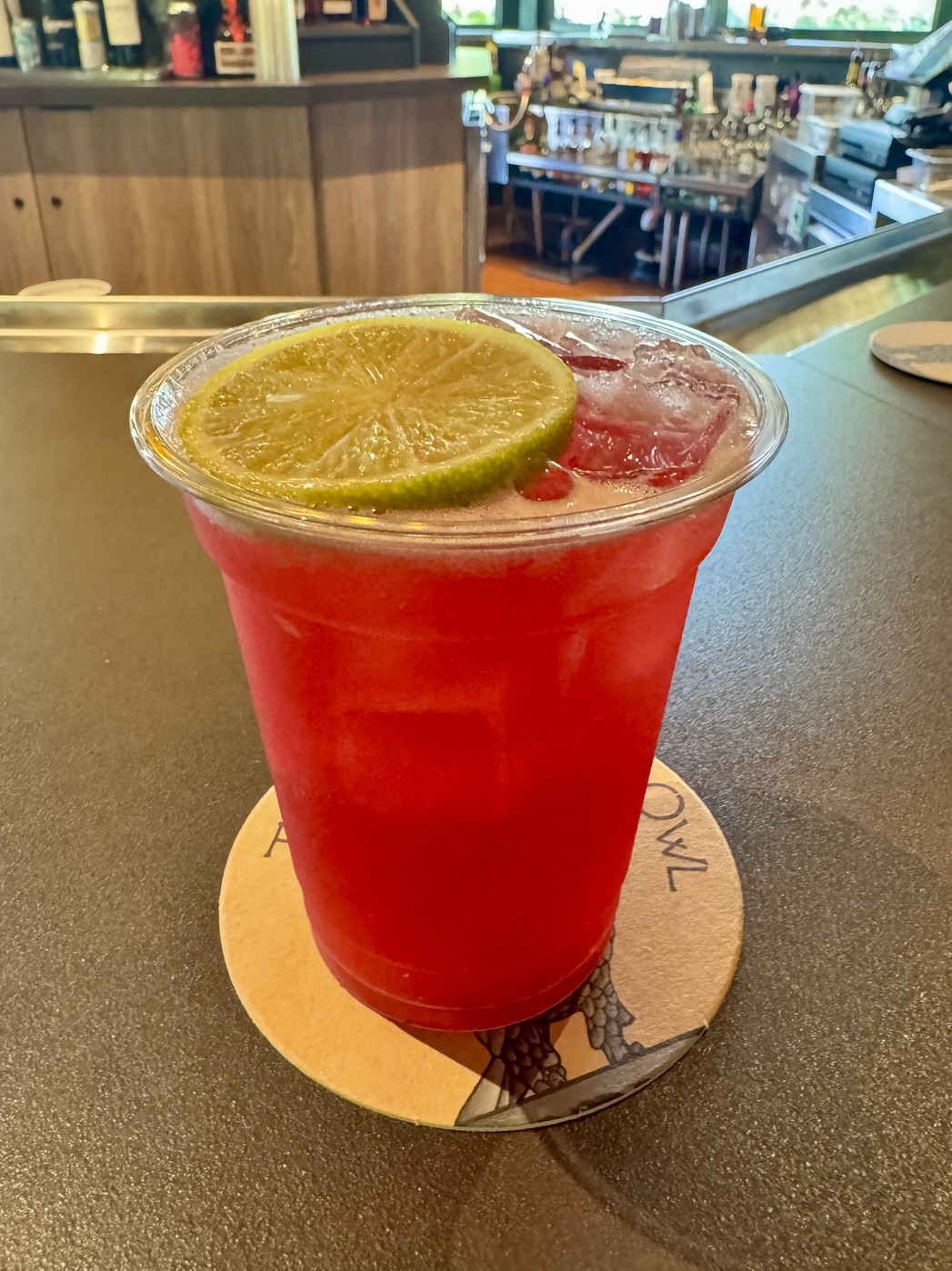 the plastered owl bar_Celestial park_epic universe 2 | UOFan